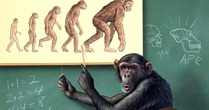 Make America Ape Again — The Devolution Of America — Into Bliss ...